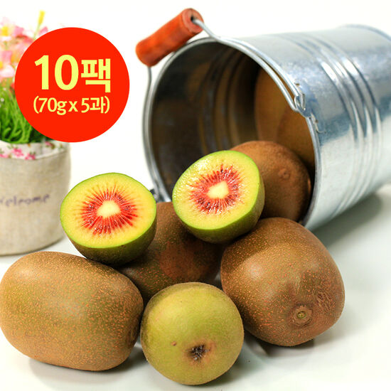 [gsshop] [제주시농협] 2022년 제주 레드키위 350g x 10팩 (팩당 70g*5과 / 총 3.5kg) 11296649 | 홈쇼핑모아
